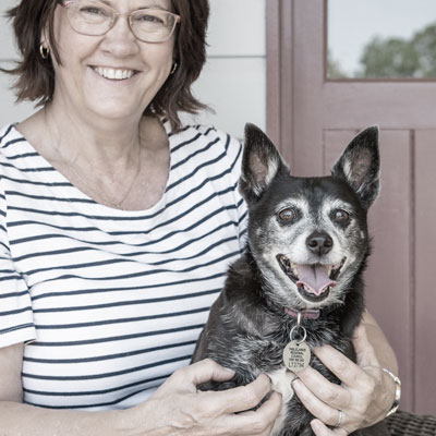 Dog Mast Cell Tumor Non-surgical Treatment STELFONTA injection