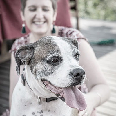 Dog Mast Cell Tumor Non-surgical Treatment STELFONTA injection