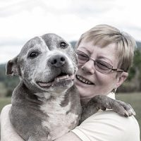 Mast cell tumors in dogs - pictures. Stelfonta photos | STELFONTA